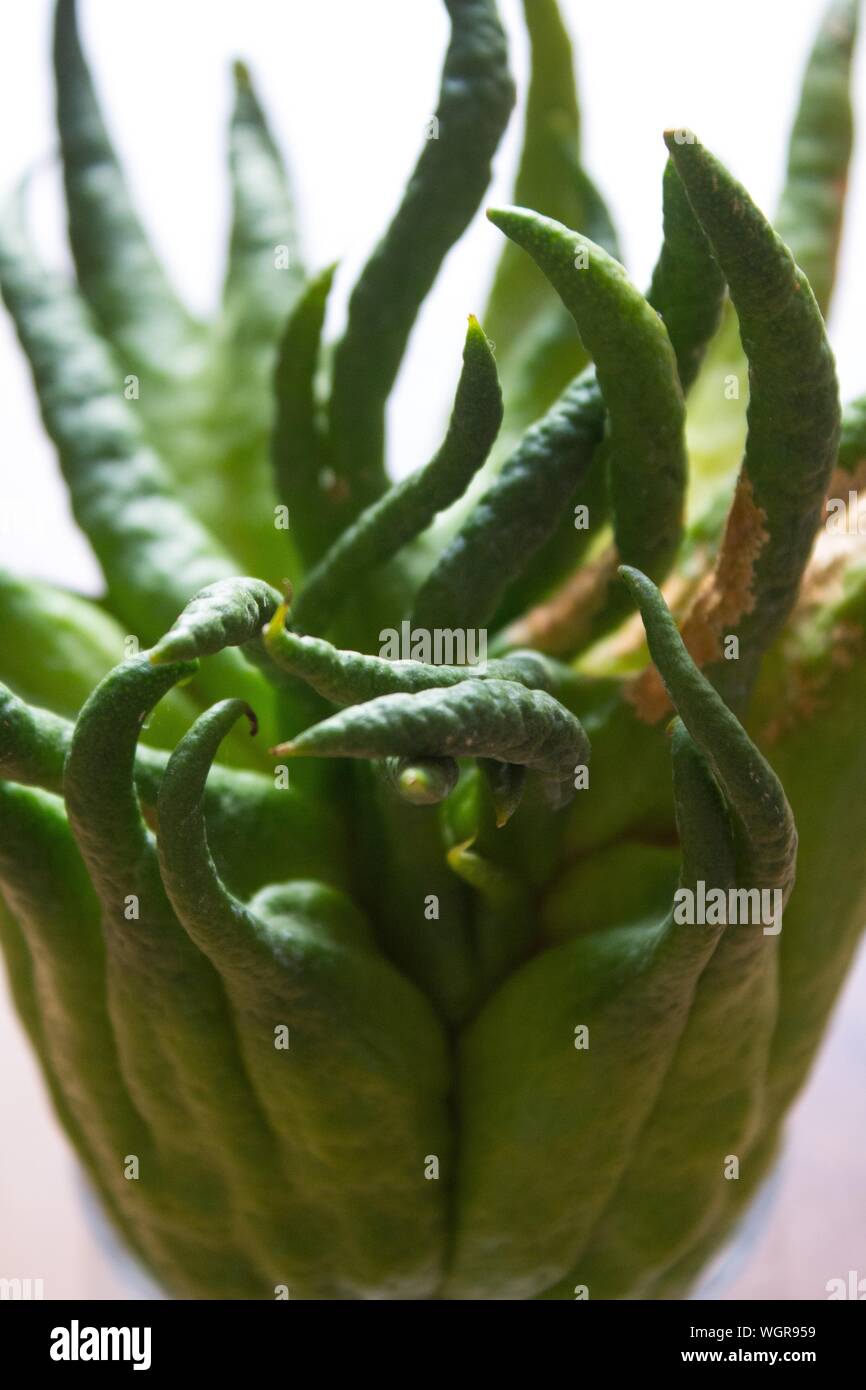 Deformed Shape High Resolution Stock Photography and Images - Alamy