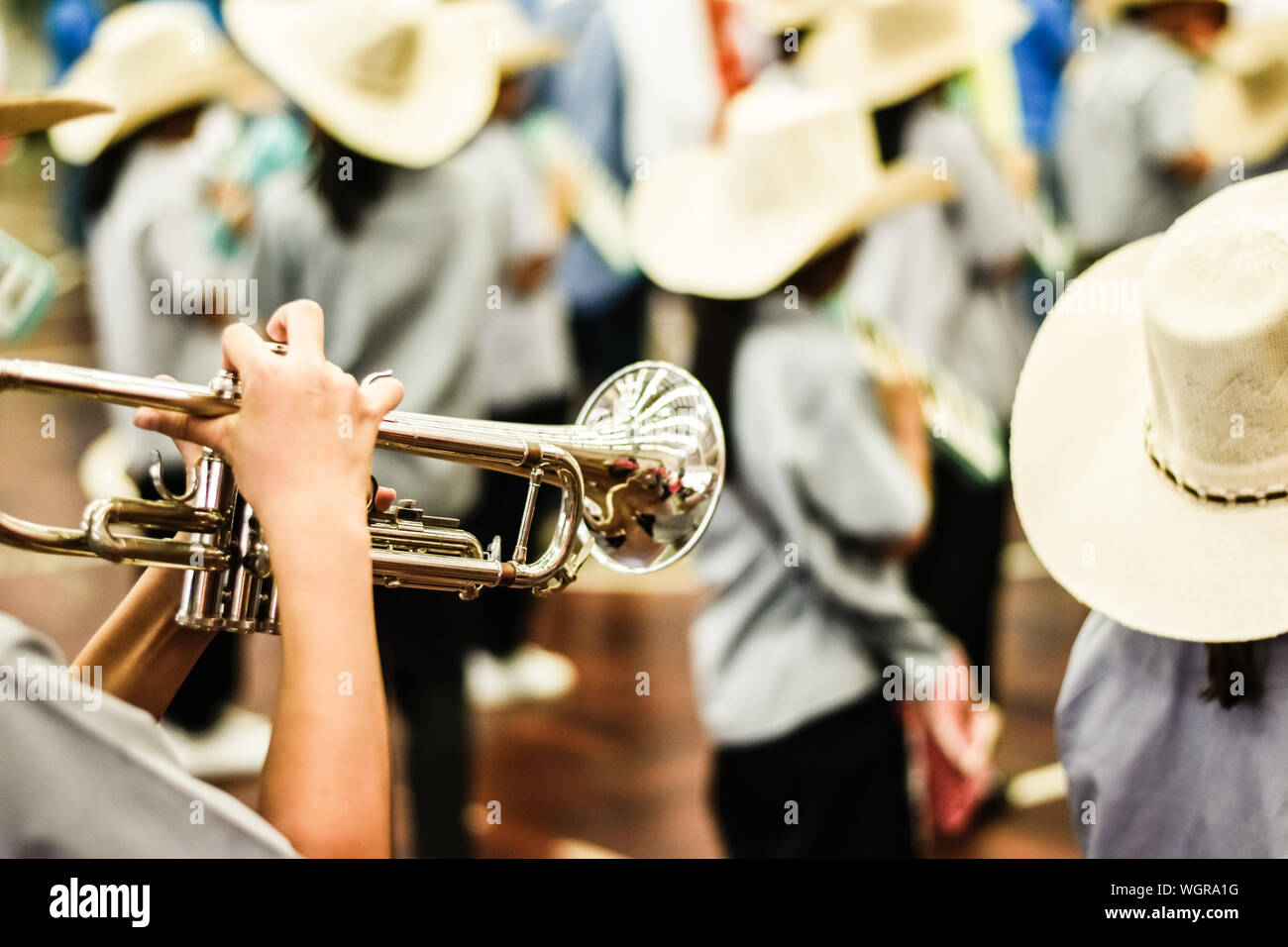 Arts celebration culture entertainment music musician playing hi-res ...