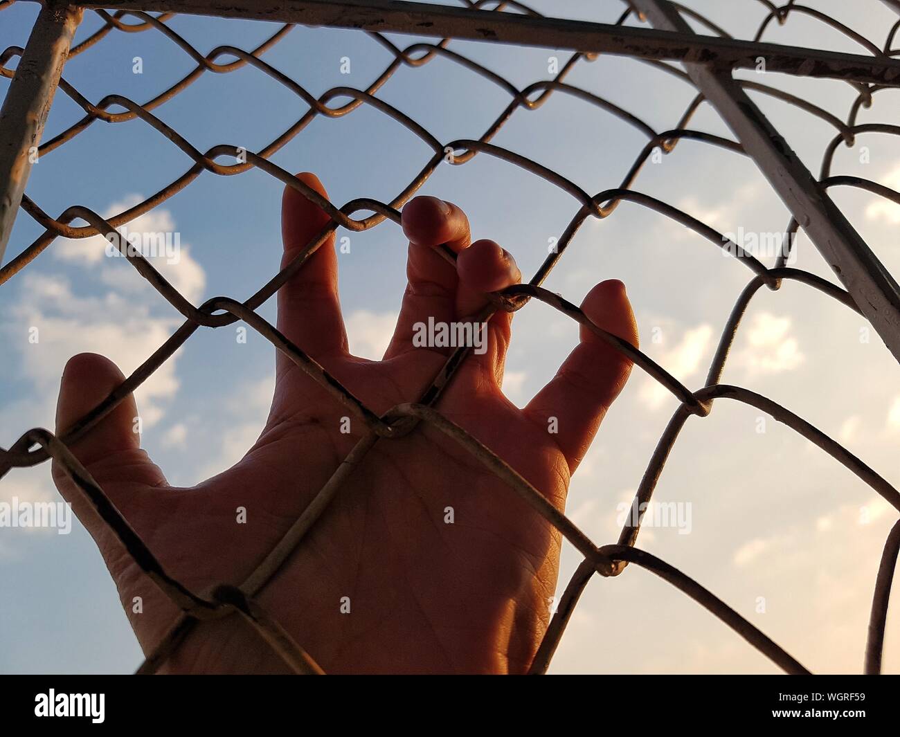 Hand fence chainlink fence hi-res stock photography and images - Alamy