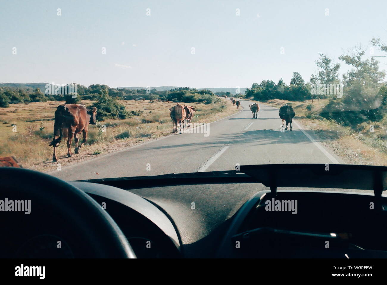 Cattle car interior hi-res stock photography and images - Alamy