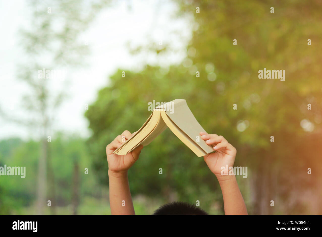 Hands holding book hi-res stock photography and images - Alamy