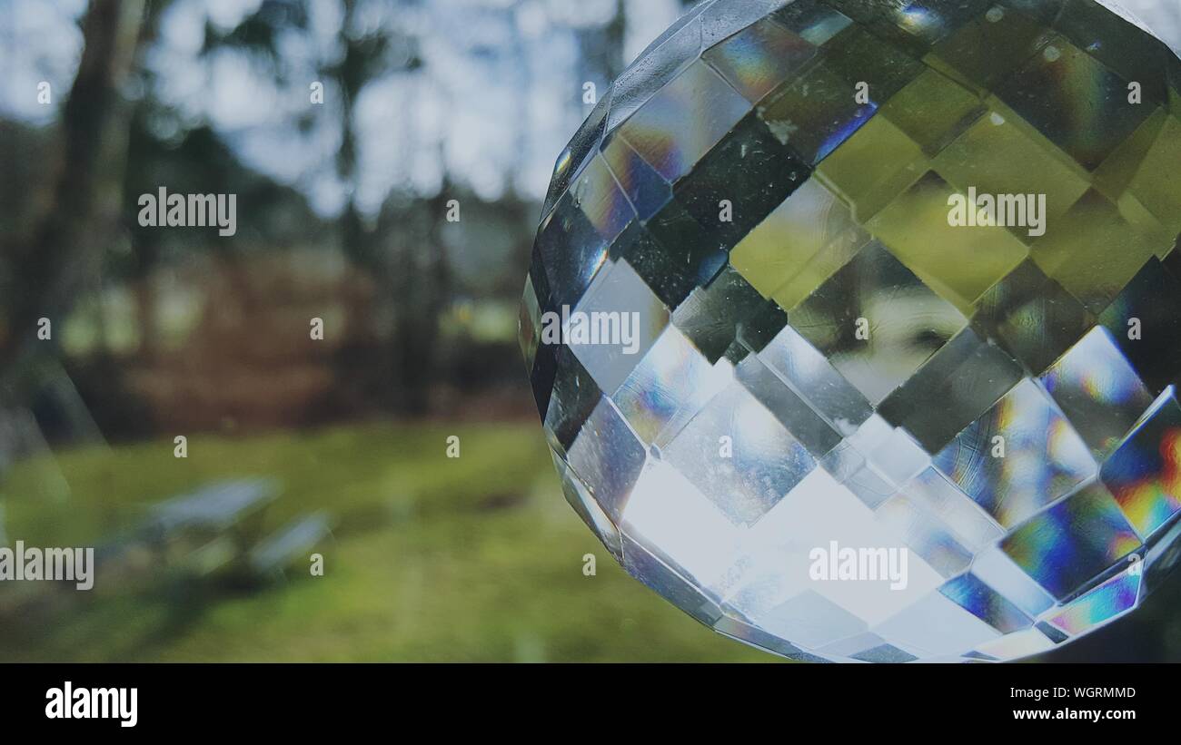 Forest and crystal hi-res stock photography and images - Alamy