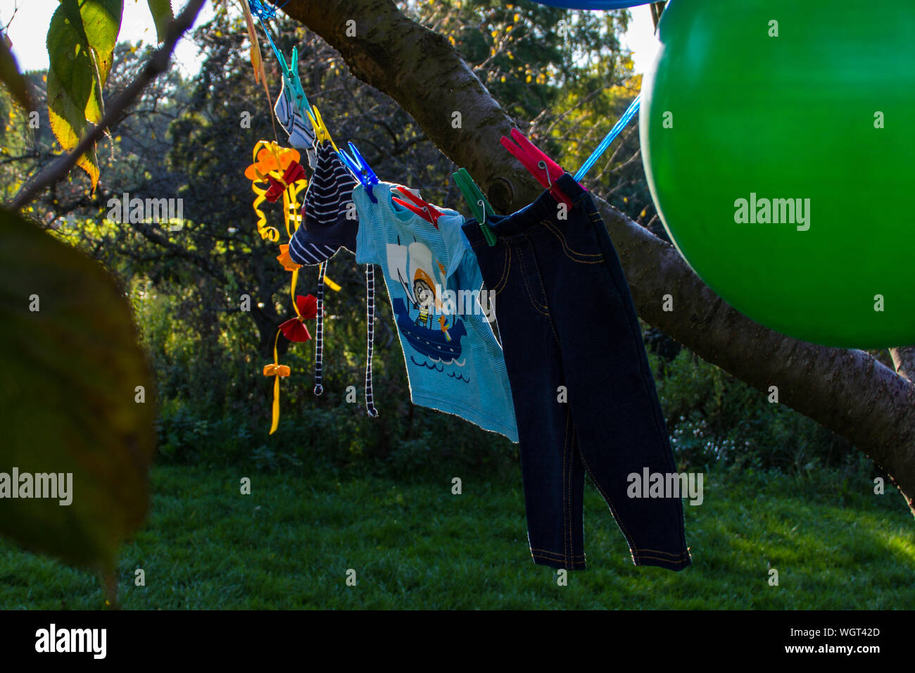 Rope tree hi-res stock photography and images - Alamy