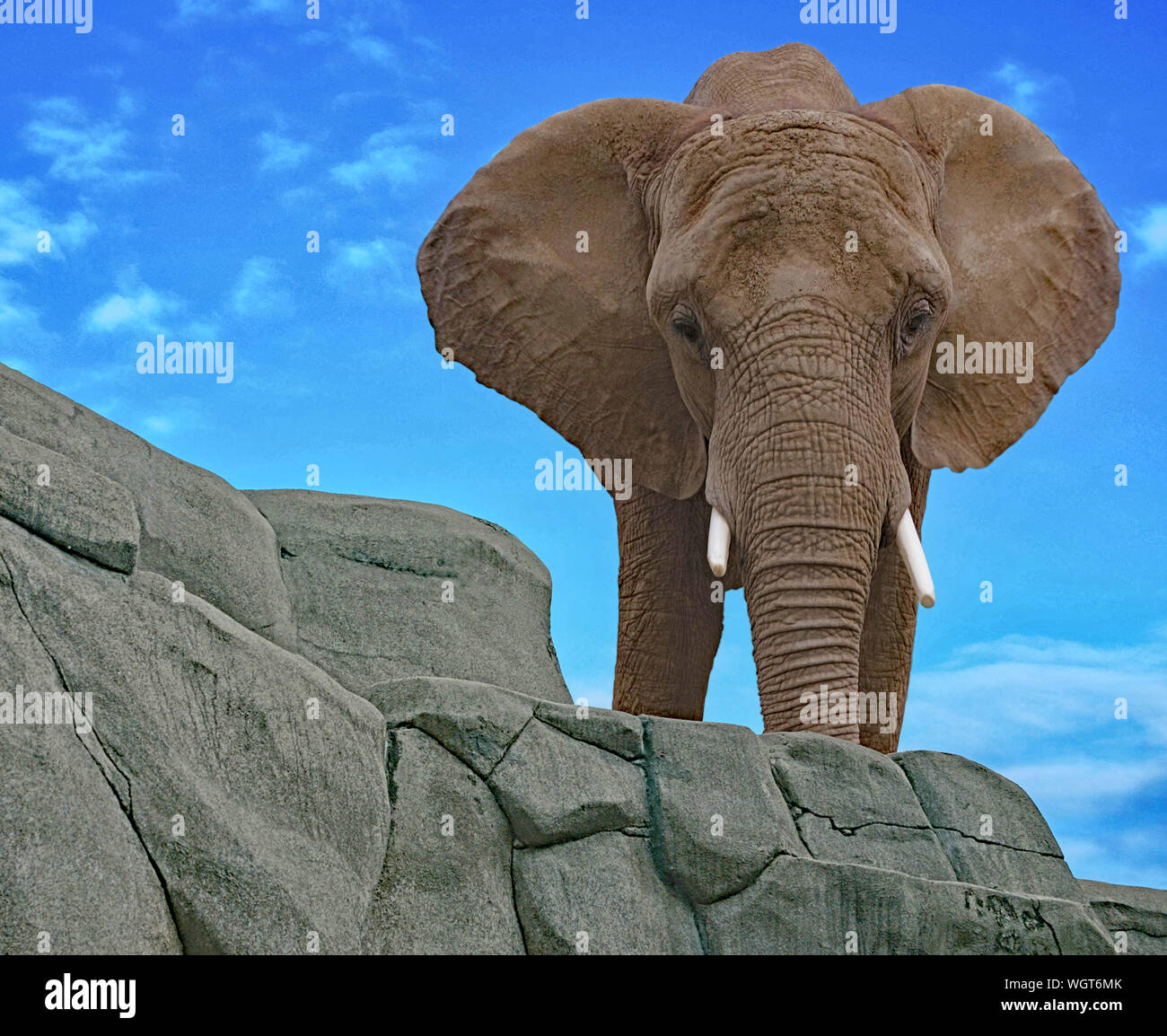 Elephant trunk rock formation hi-res stock photography and images - Alamy