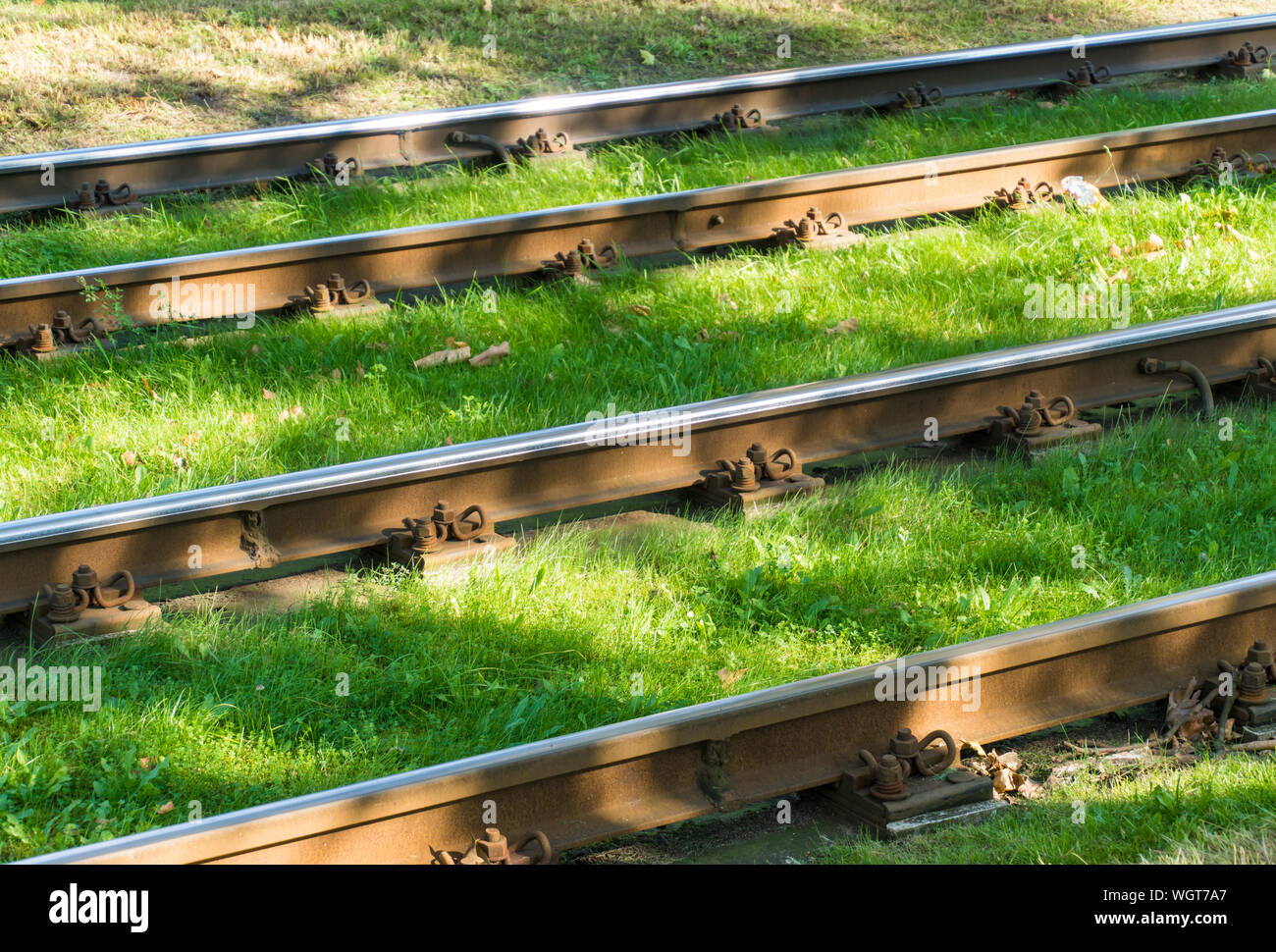 Tracks grass hi-res stock photography and images - Alamy