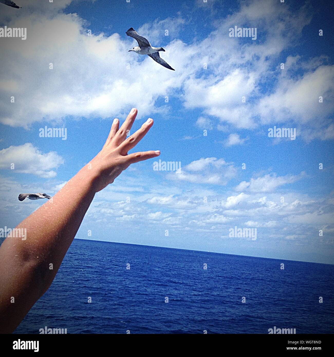 Hand reaching out of the sea hi-res stock photography and images - Alamy