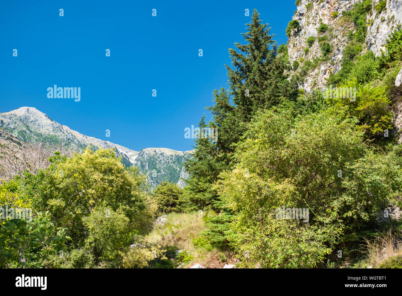View of Llogara National Park, Vlore, Albania Stock Photo - Alamy