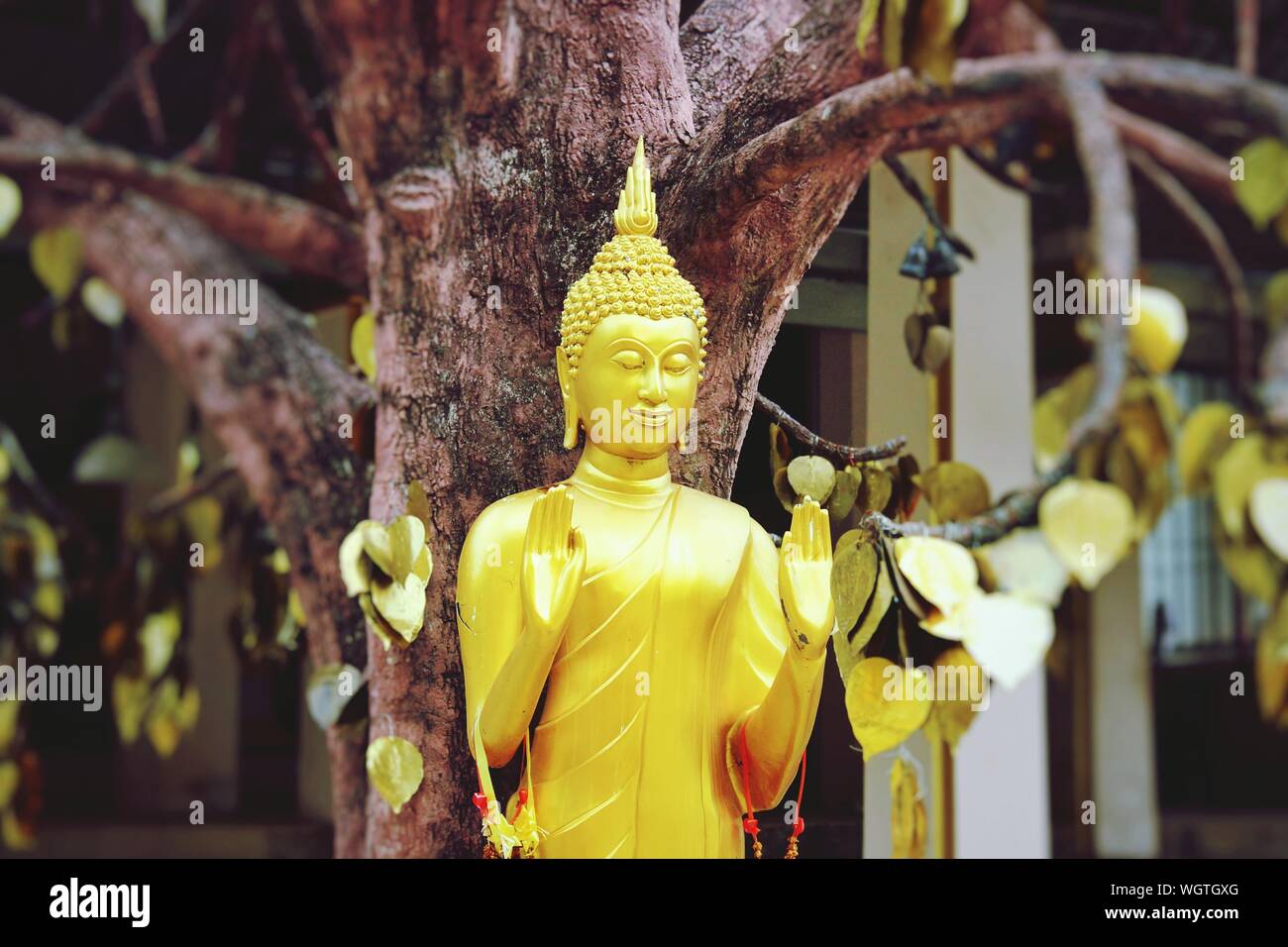 Tiger statue temple hi-res stock photography and images - Alamy