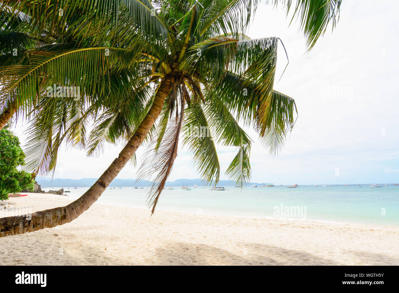 Boracay Palm Trees High Resolution Stock Photography and Images - Alamy