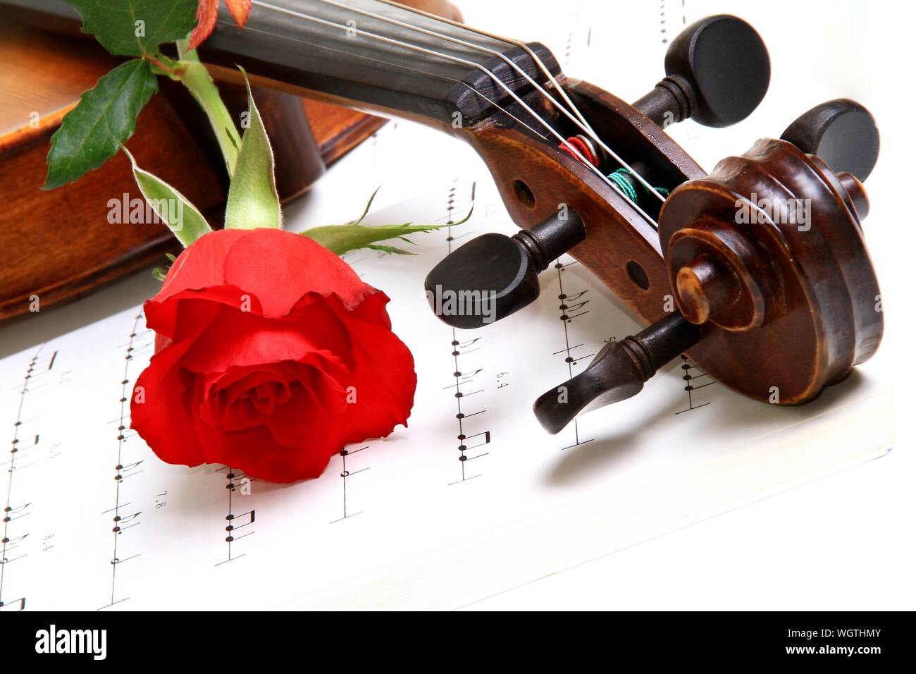 Violin music instrument rose hi-res stock photography and images - Alamy