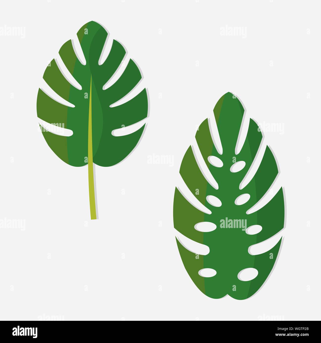 monstera plant isolated vector illustration symbol Stock Vector Image ...