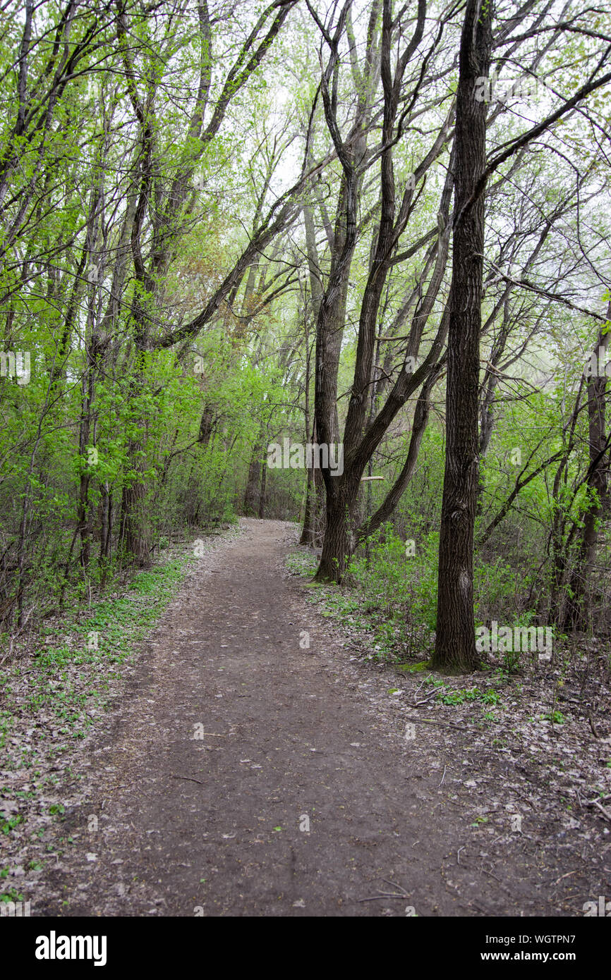 Wood Lake Nature Center, Minnesota Stock Photo - Alamy