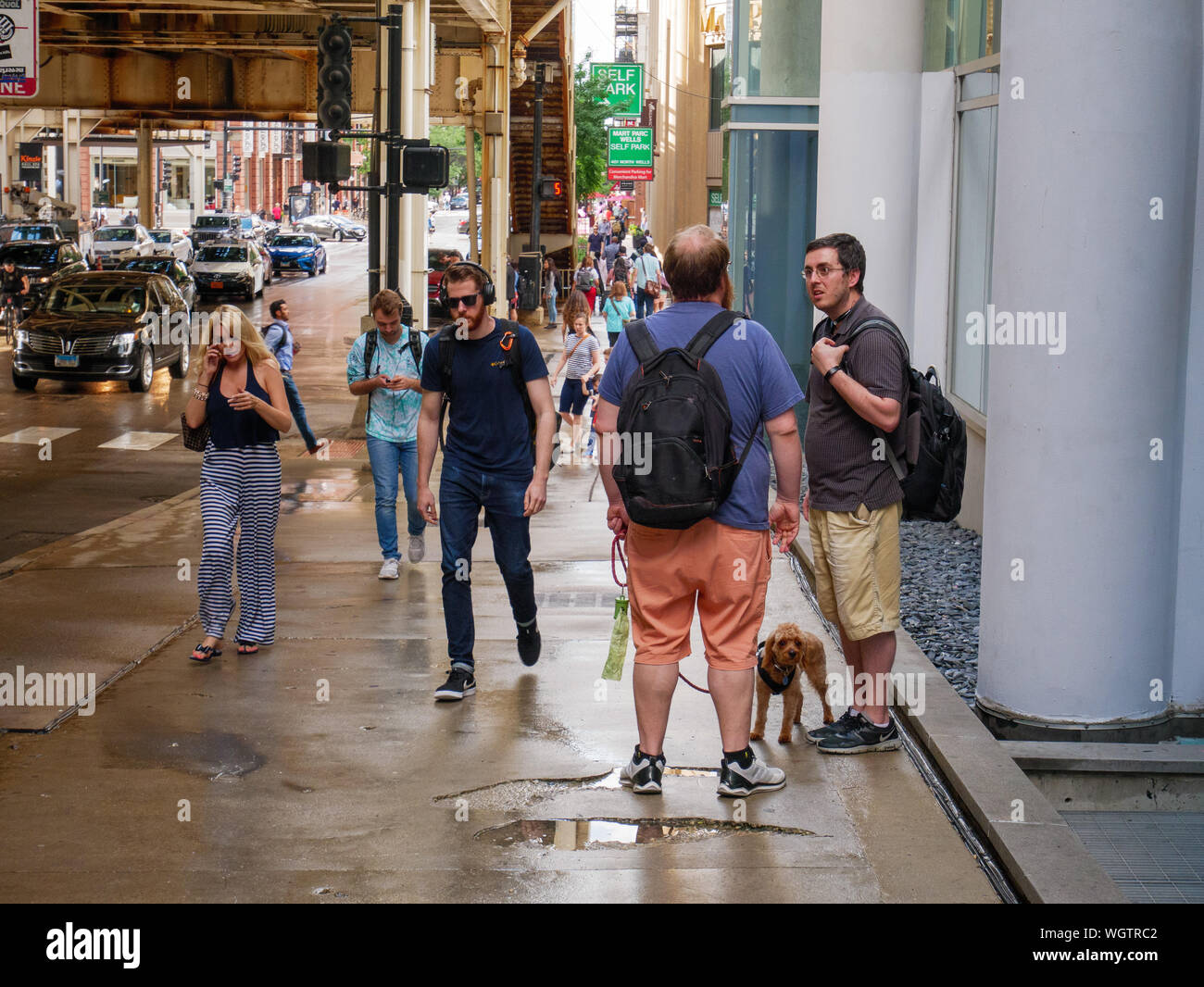 Two people walking talking dog city hi-res stock photography and images ...
