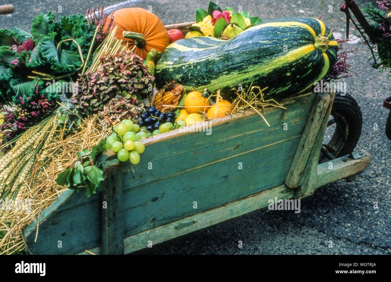 Pushing cart hi-res stock photography and images - Alamy
