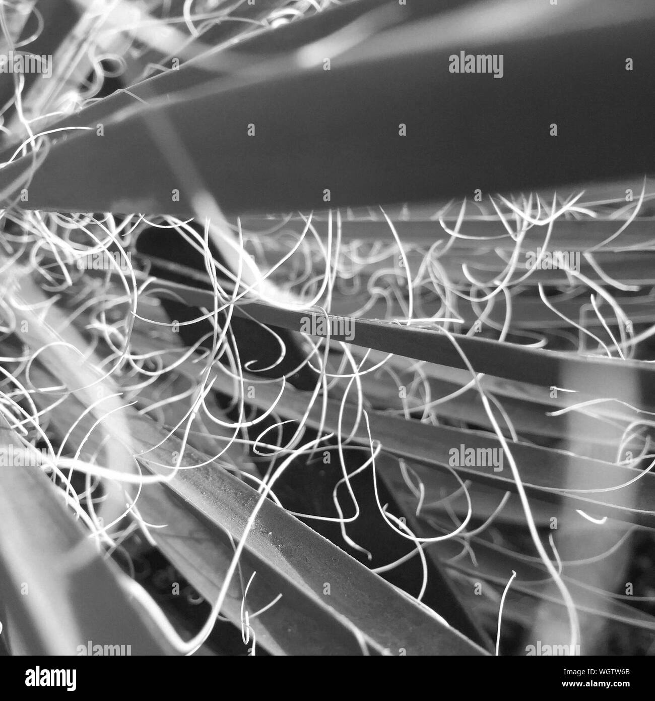 Fiber threads hi-res stock photography and images - Alamy