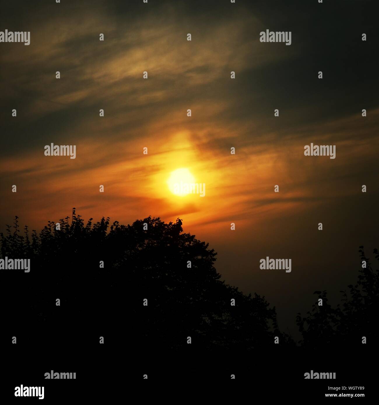 Setting up tree hi-res stock photography and images - Alamy