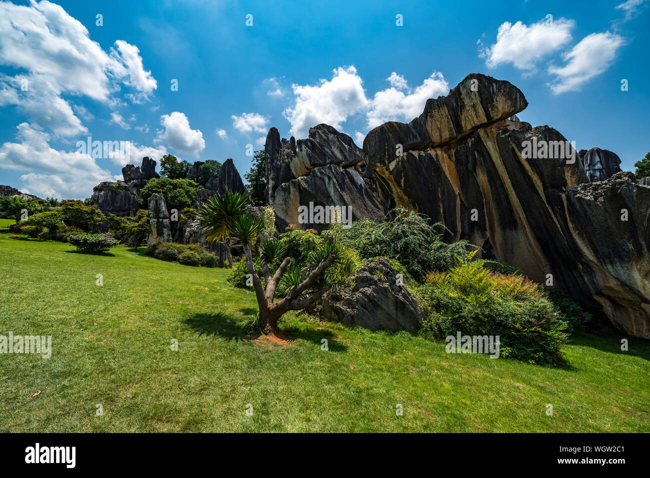 The Stone forest in Kunming, China Stock Photo - Alamy