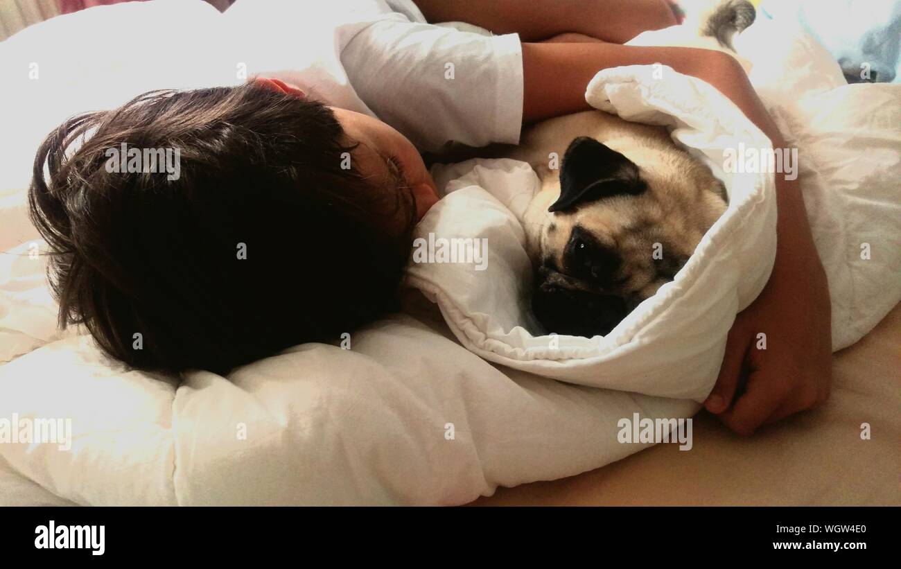 Boy sleeping bed dog hi-res stock photography and images - Alamy