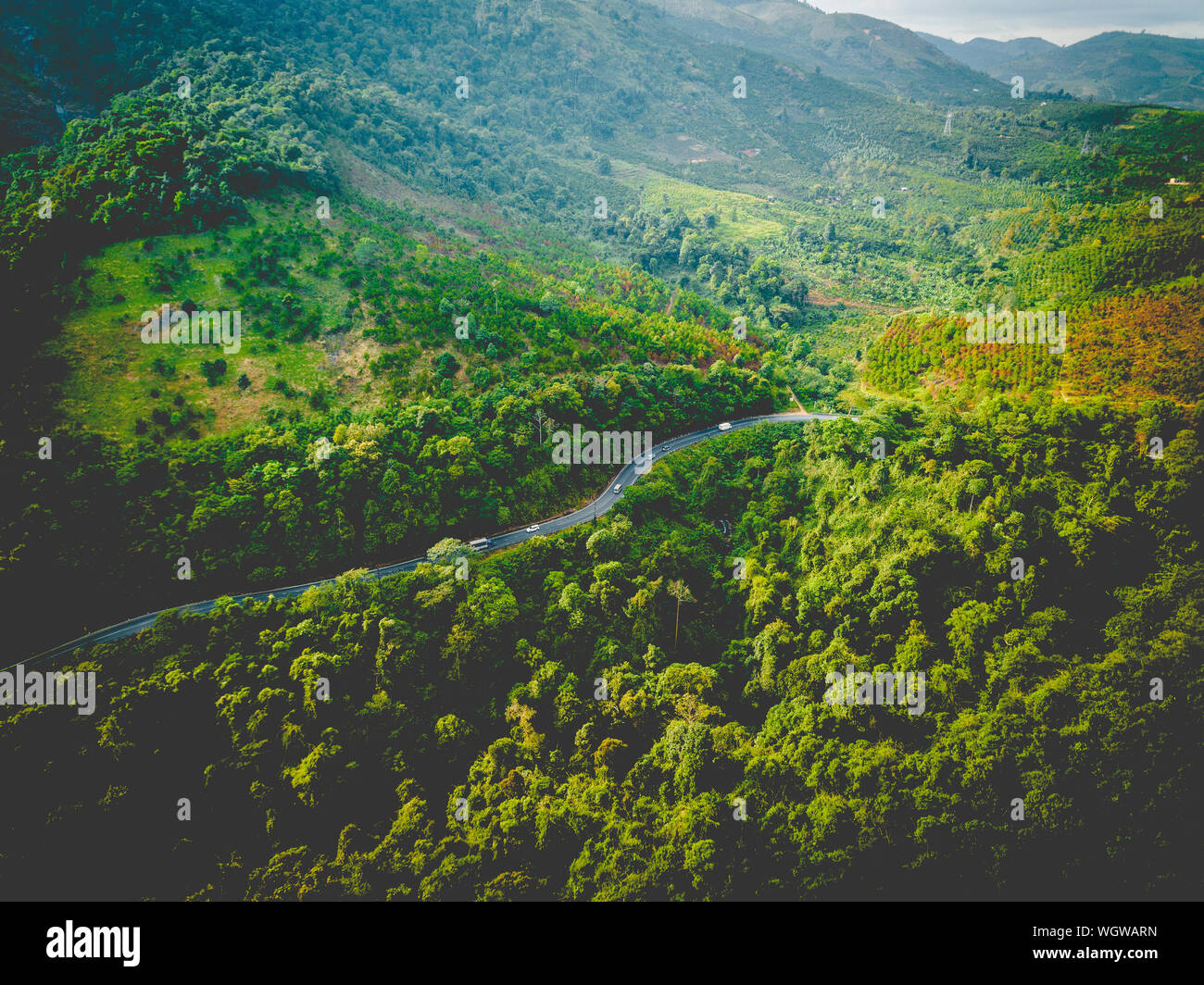 Aerial view of tree hi-res stock photography and images - Alamy