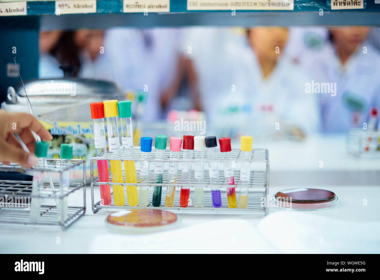 Laboratory man hi-res stock photography and images - Alamy