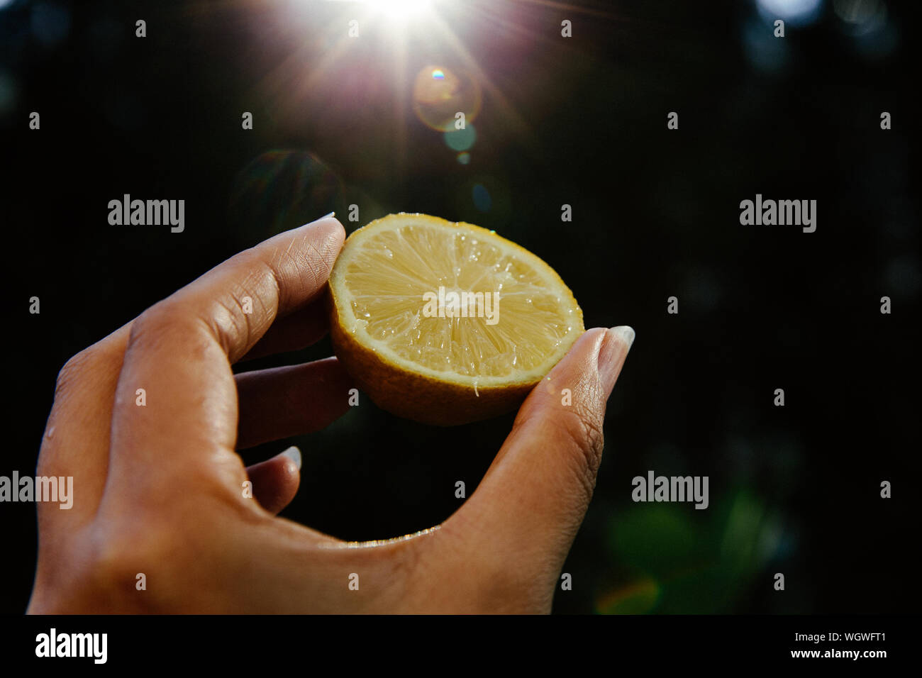 Hand holding lemon slice citrus hi-res stock photography and images - Alamy