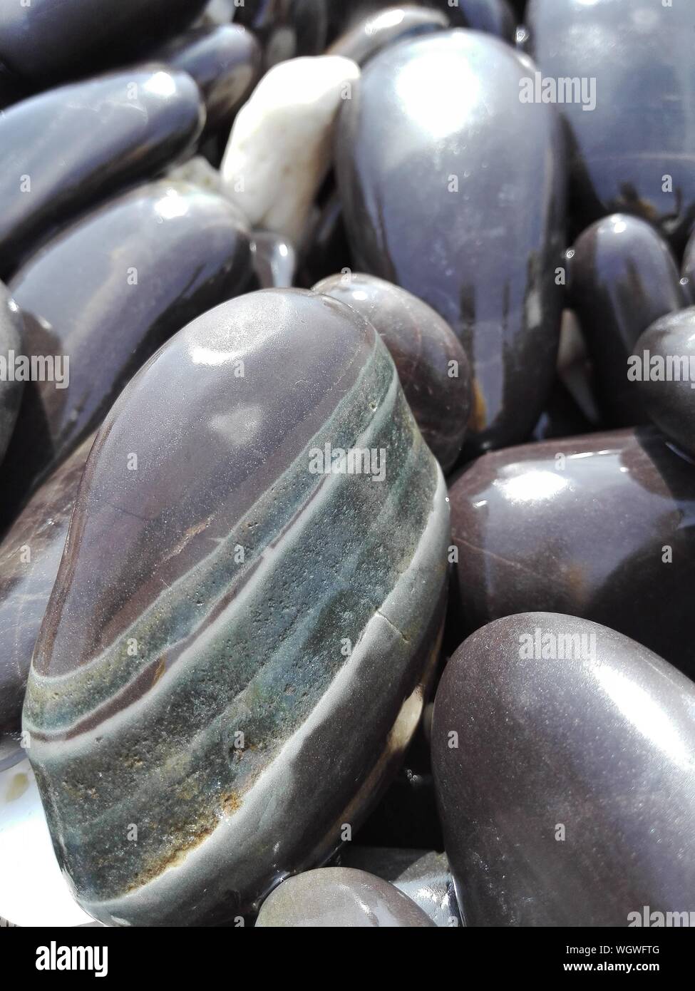 Shiny pebble hi-res stock photography and images - Alamy