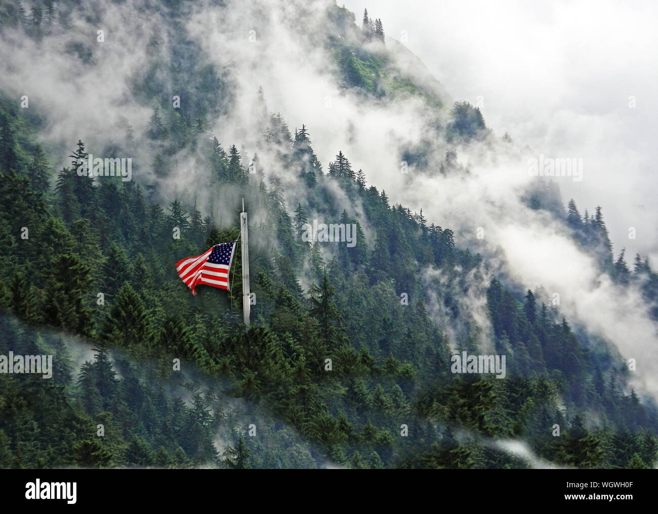 Pine tree flag hi-res stock photography and images - Alamy