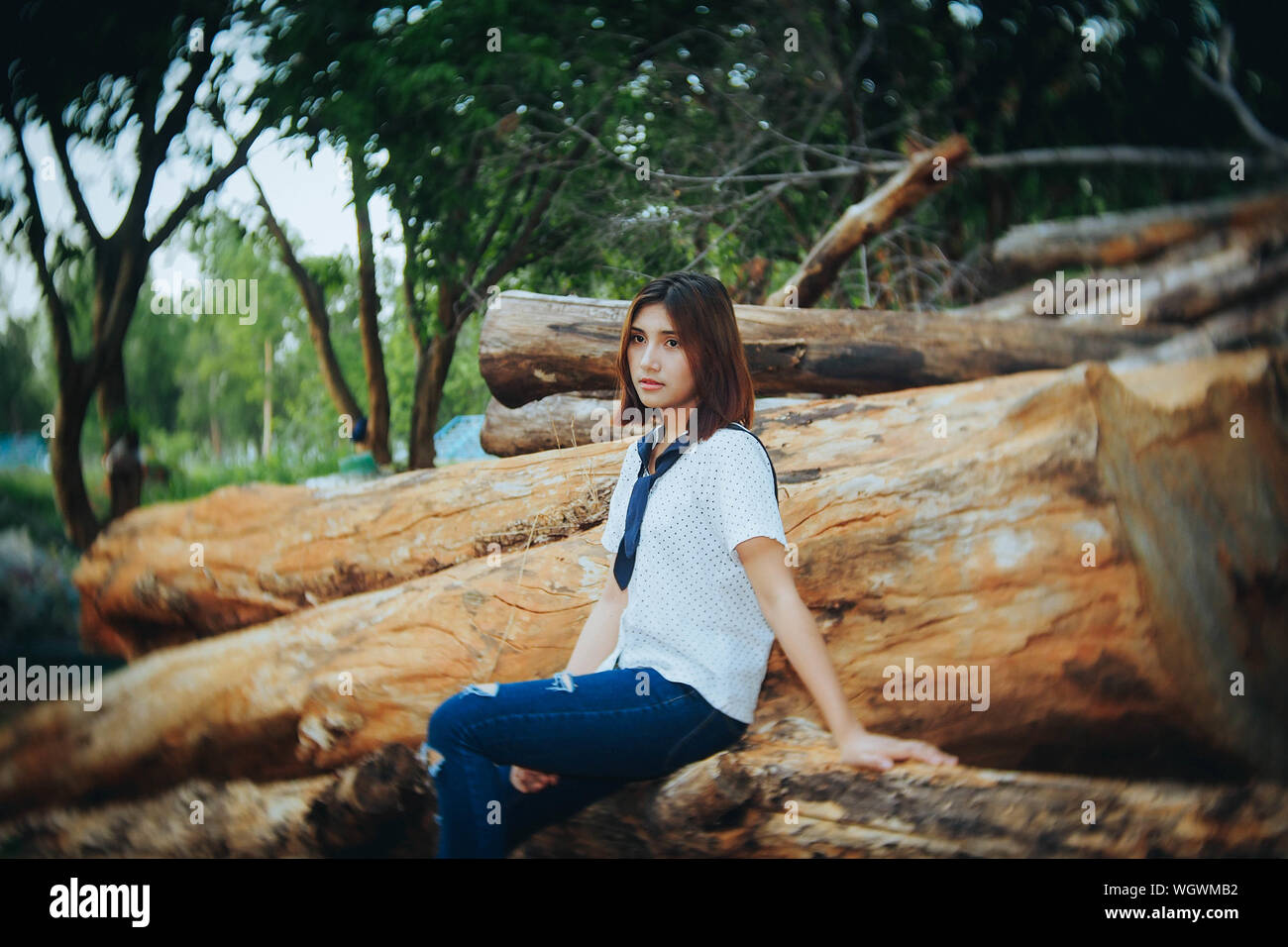 Caucasian Woman Sitting Log Wood High Resolution Stock Photography and ...