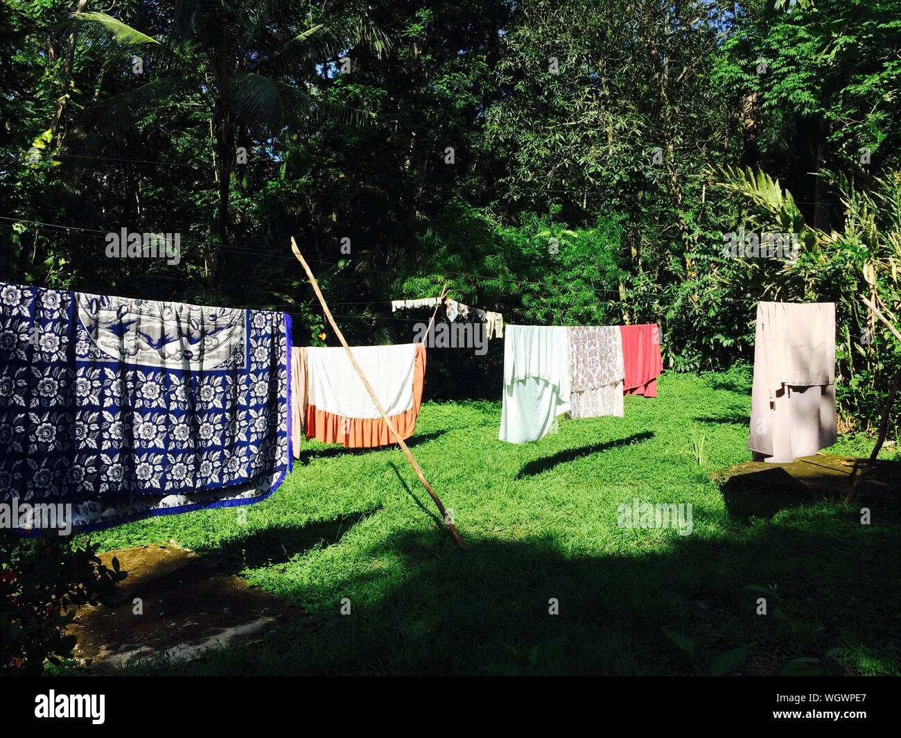 Clothes in trees hi-res stock photography and images - Alamy