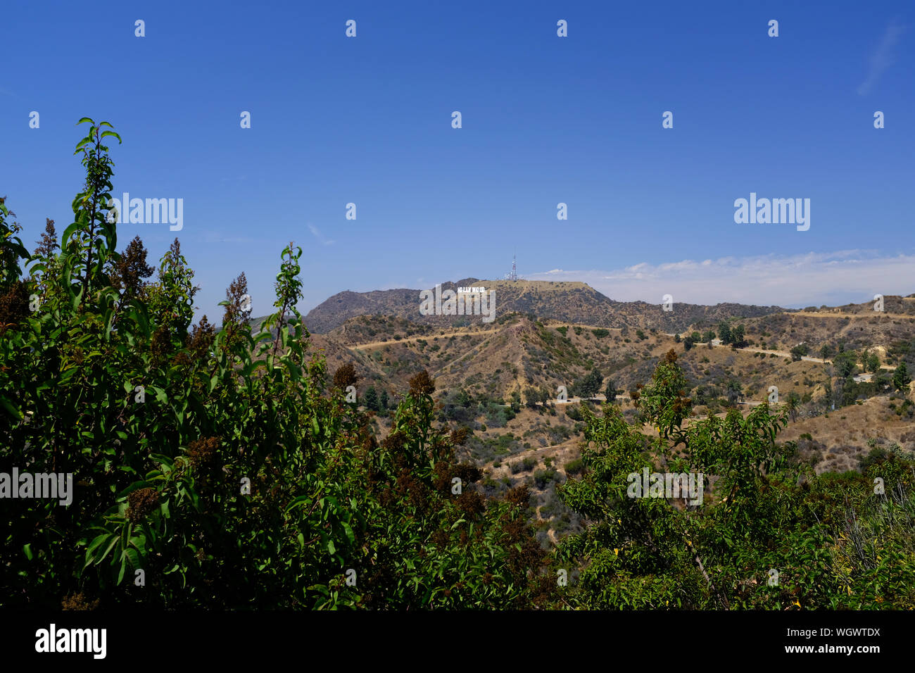 Hollywood Sign from Griffith Observatory Stock Photo - Alamy