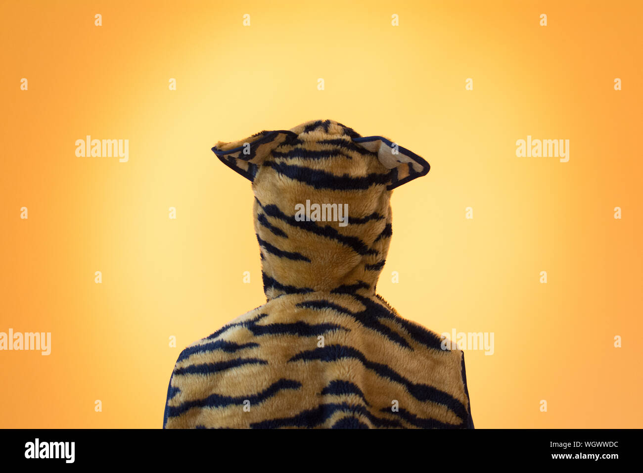Tiger with person hi-res stock photography and images - Alamy