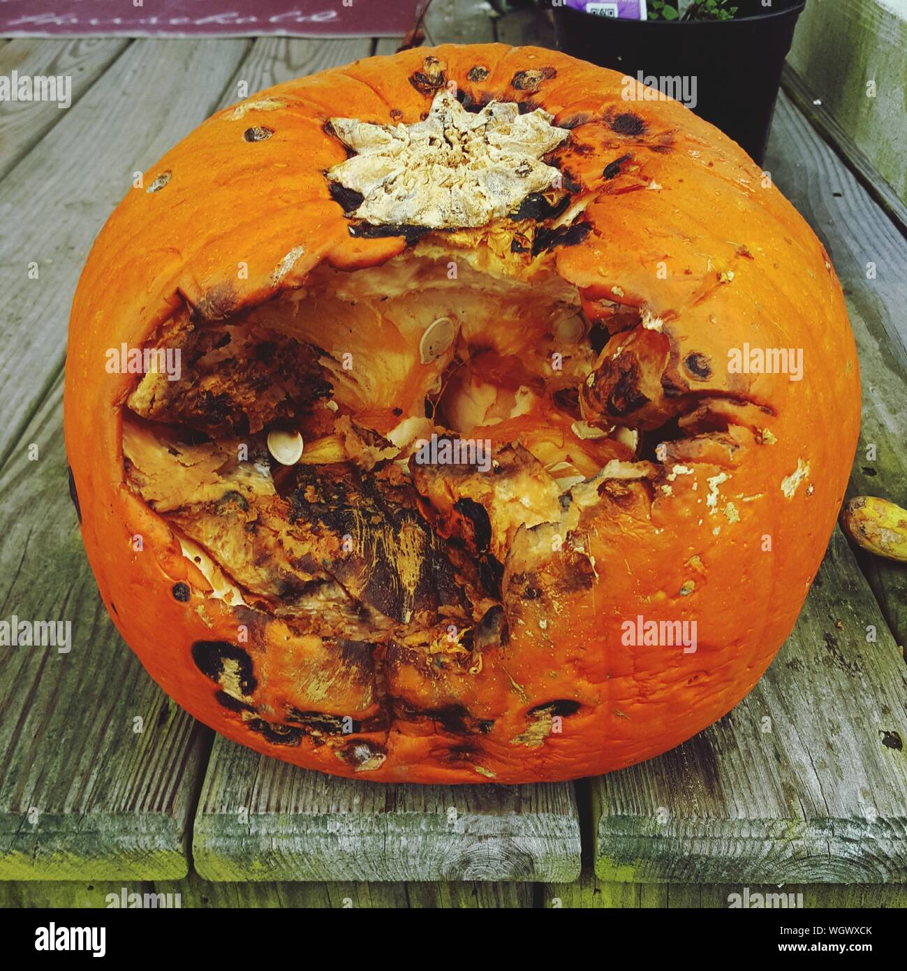 Rotten pumpkin hi-res stock photography and images - Alamy