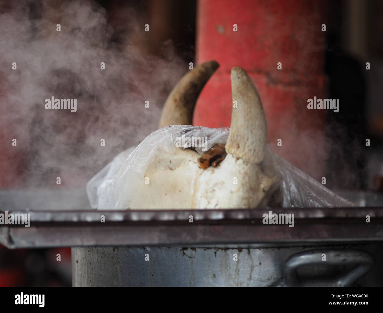 Bull in focus hi-res stock photography and images - Alamy