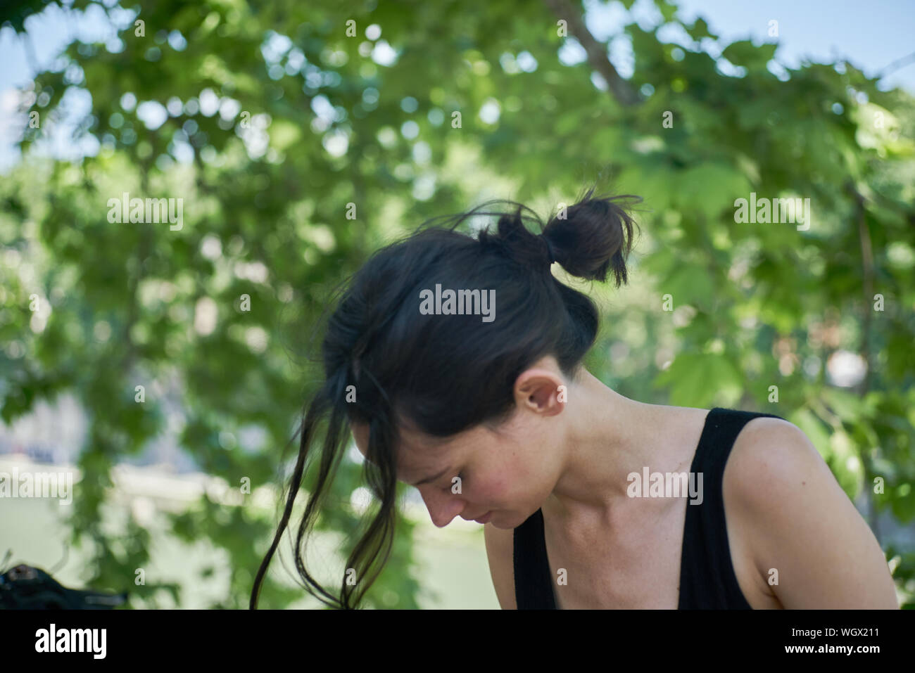 Bending Trees High Resolution Stock Photography and Images - Alamy
