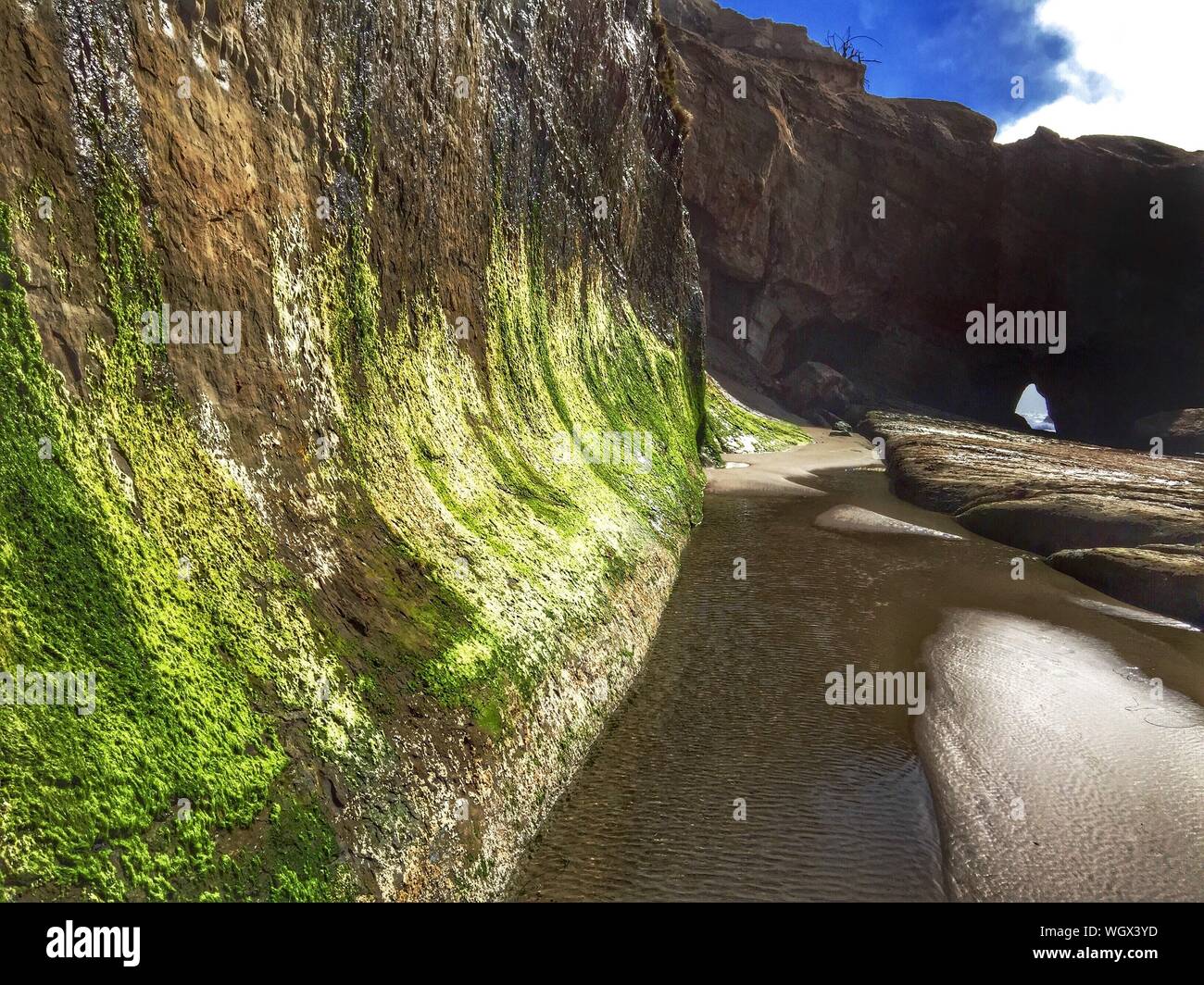 Moss cliff hi-res stock photography and images - Alamy