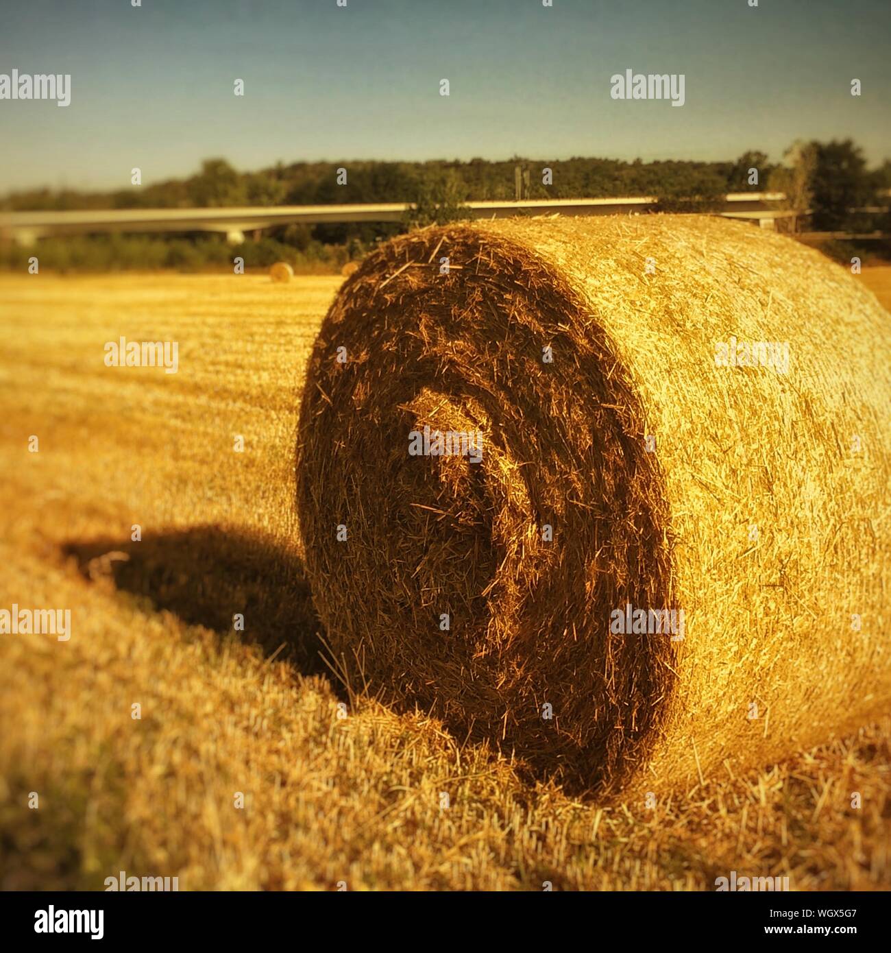 Close up of hay bale hi-res stock photography and images - Alamy