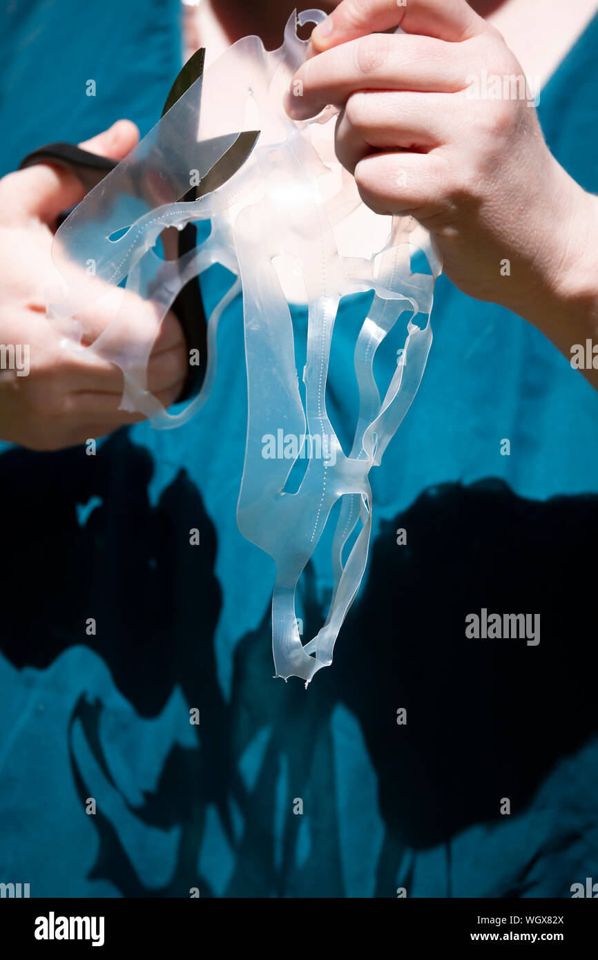 Woman cutting plastic rings before throwing them away to prevent them ...