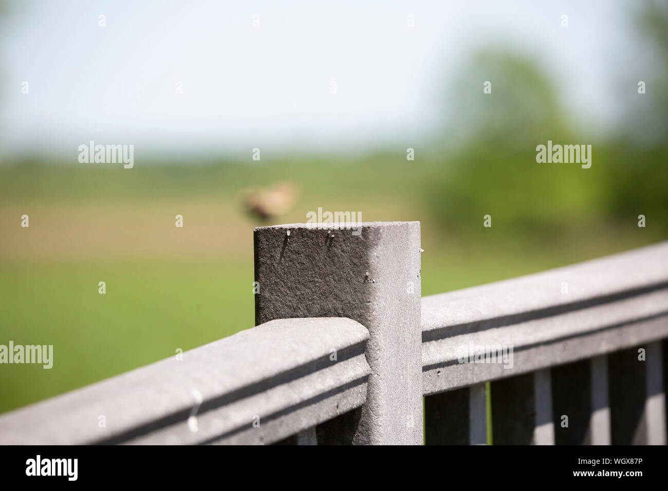 Railing in nature with blurred sky and vegetation in the background ...