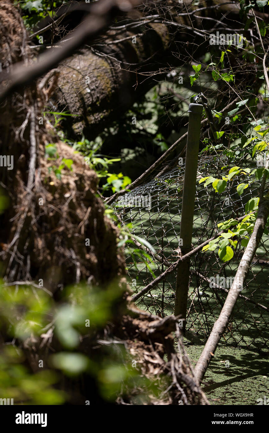 Destroyed cyclone fencing that used to divide a swamp Stock Photo - Alamy