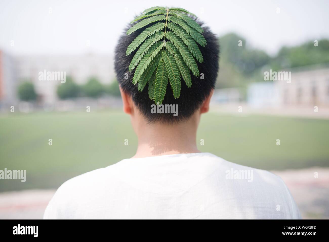 Man fern hi-res stock photography and images - Alamy