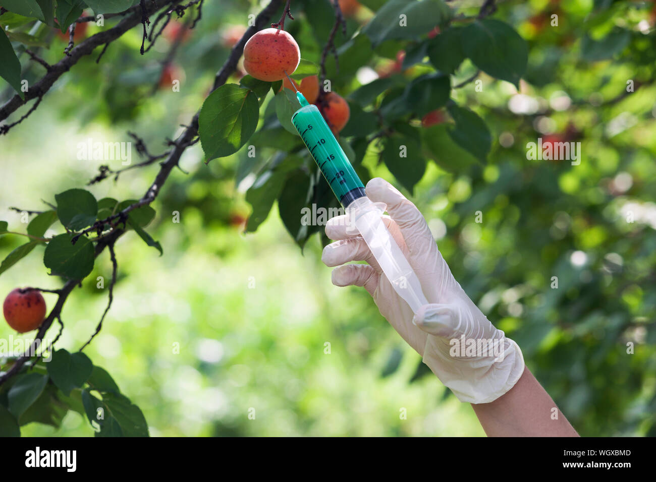 Insecticide hi-res stock photography and images - Alamy