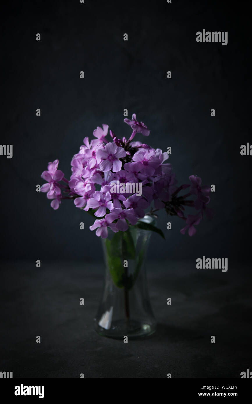 Flowers Vase High Resolution Stock Photography and Images - Alamy
