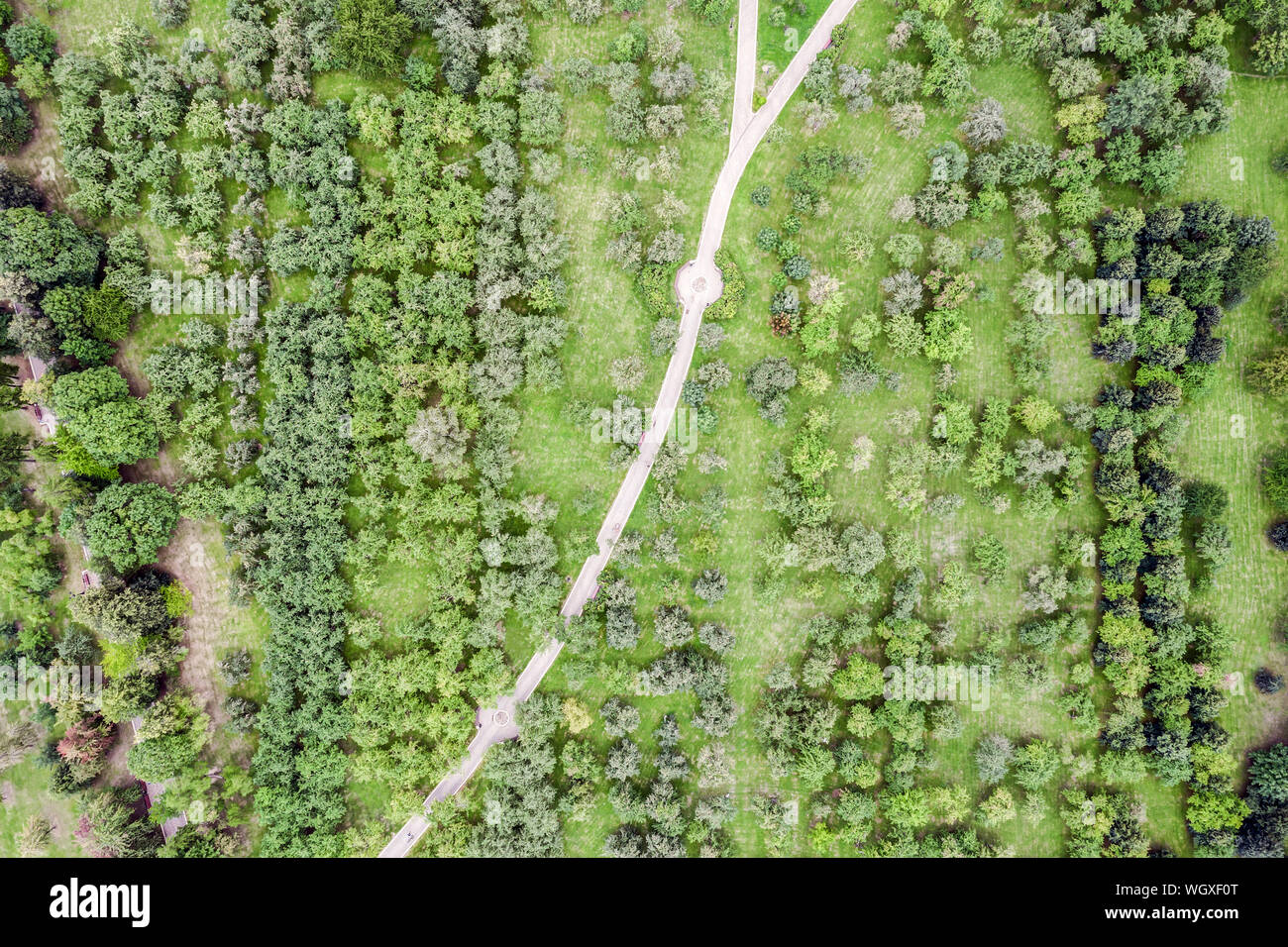 aerial top view of the footpath through apple trees orchard Stock Photo ...