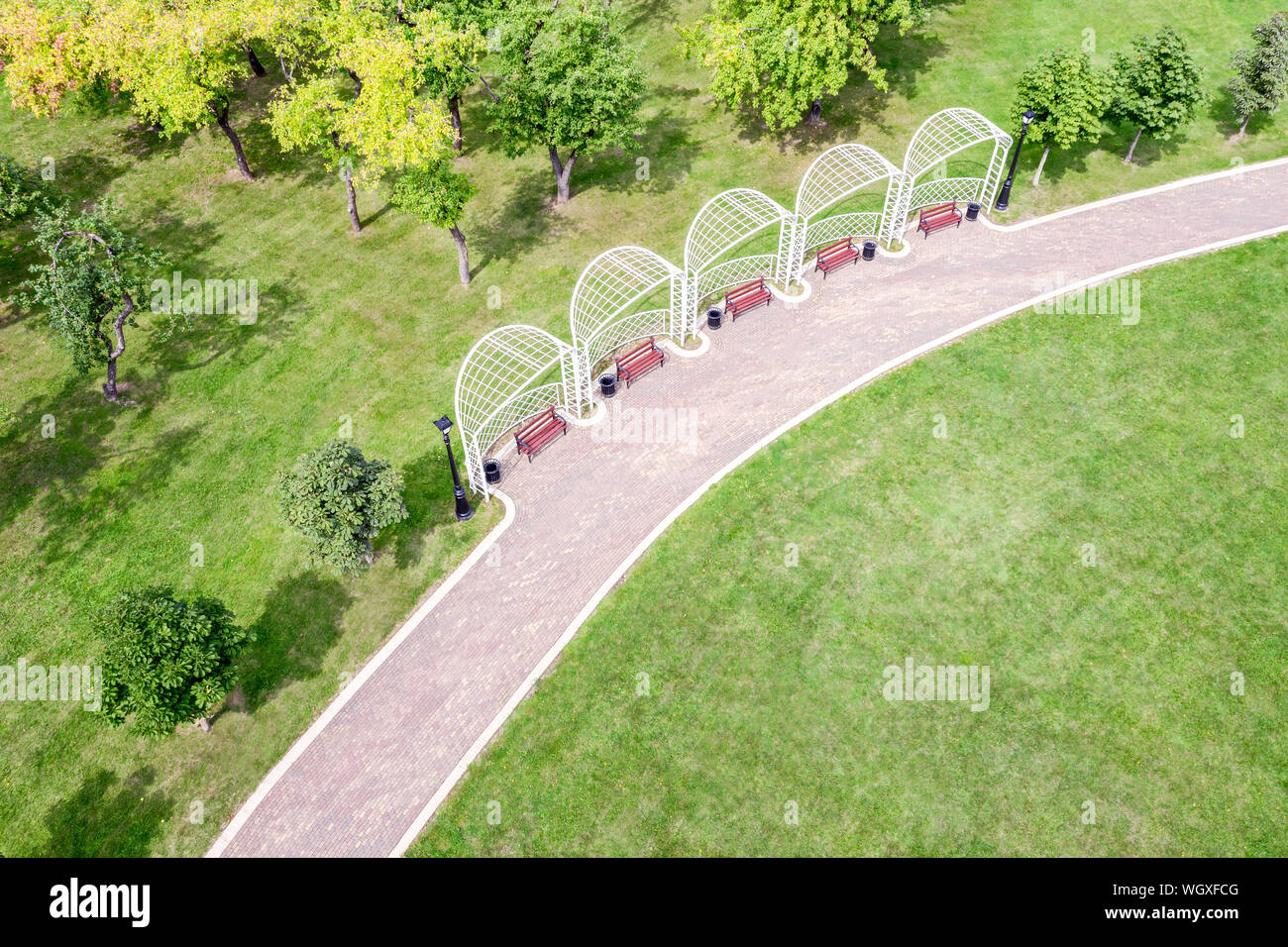 Green lantern plant hi-res stock photography and images - Alamy