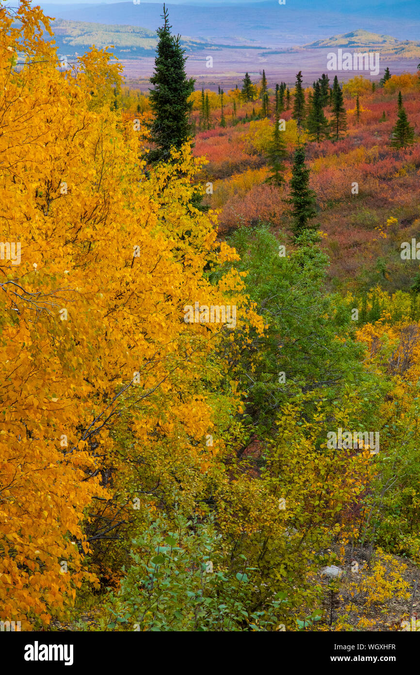 Alaska changing colors hi-res stock photography and images - Alamy