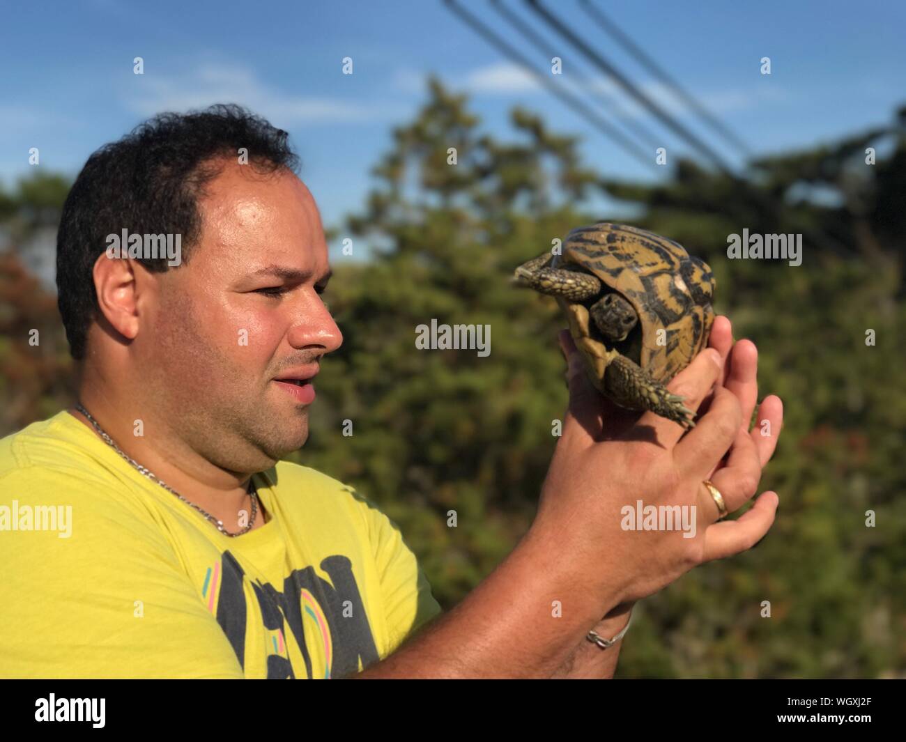 Man holding turtle hi-res stock photography and images - Alamy