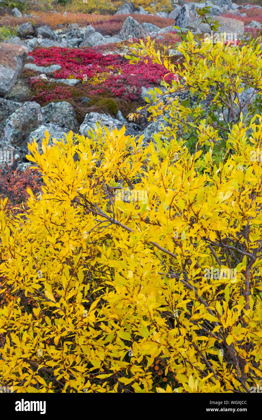 Alaska changing colors hi-res stock photography and images - Alamy