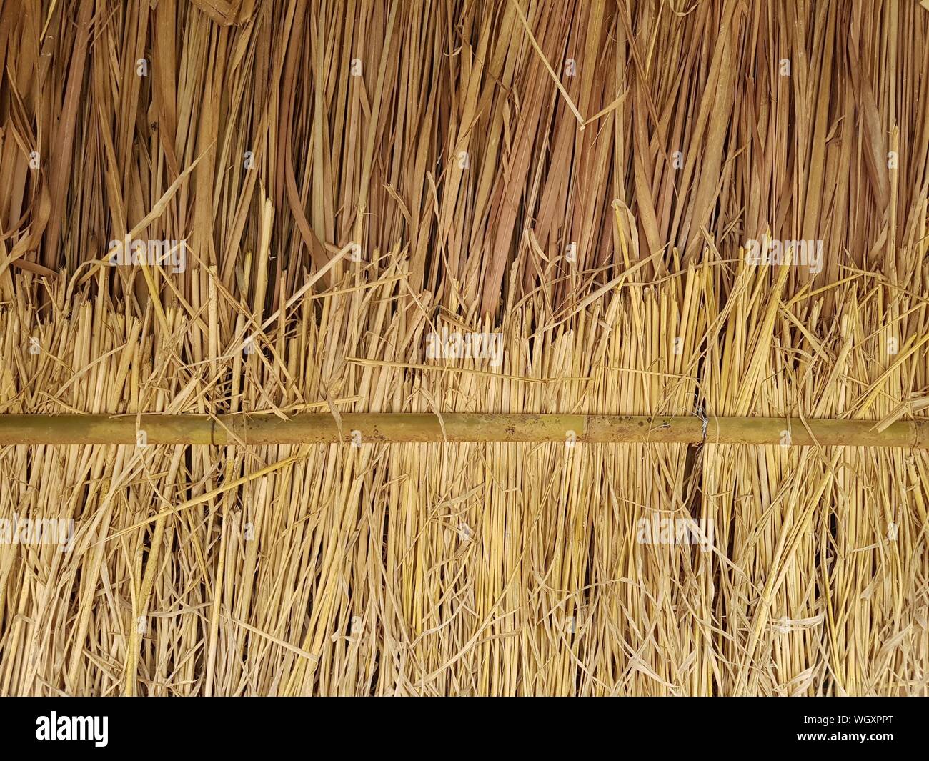 Hay roof hi-res stock photography and images - Alamy