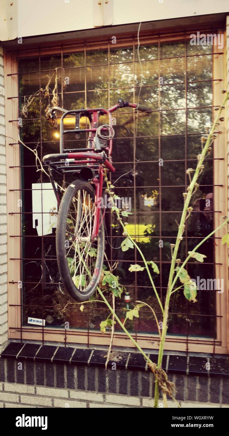 Window bicycle hi-res stock photography and images - Alamy