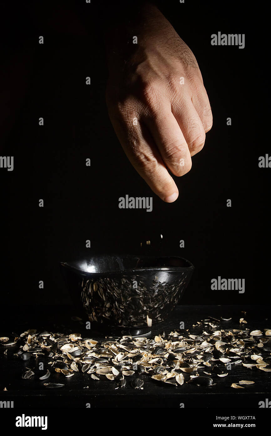 Male hand with a sunflower husk on a black background Stock Photo - Alamy